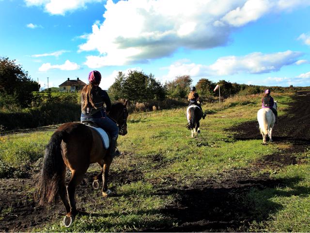36 Views of Croghan Hill – Veronica Nicholson Photographer